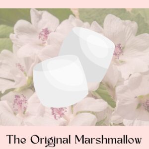 The Original Marshmallow - EthnoPharm