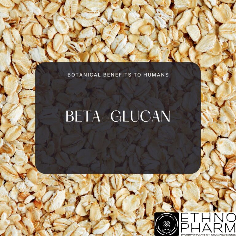 Pelargonidin- Important Bioactive From Plants! - EthnoPharm