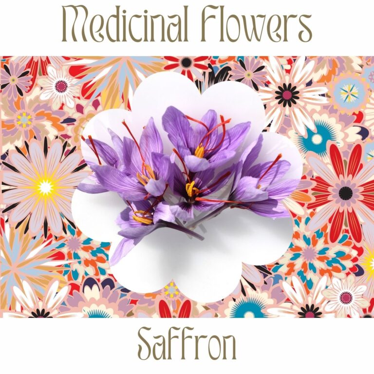 Pelargonidin- Important Bioactive From Plants! - EthnoPharm